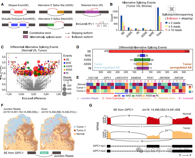 Cell | Stereo-seq实现宿主-微生物时空解析，破解FFPE难题 - 知乎