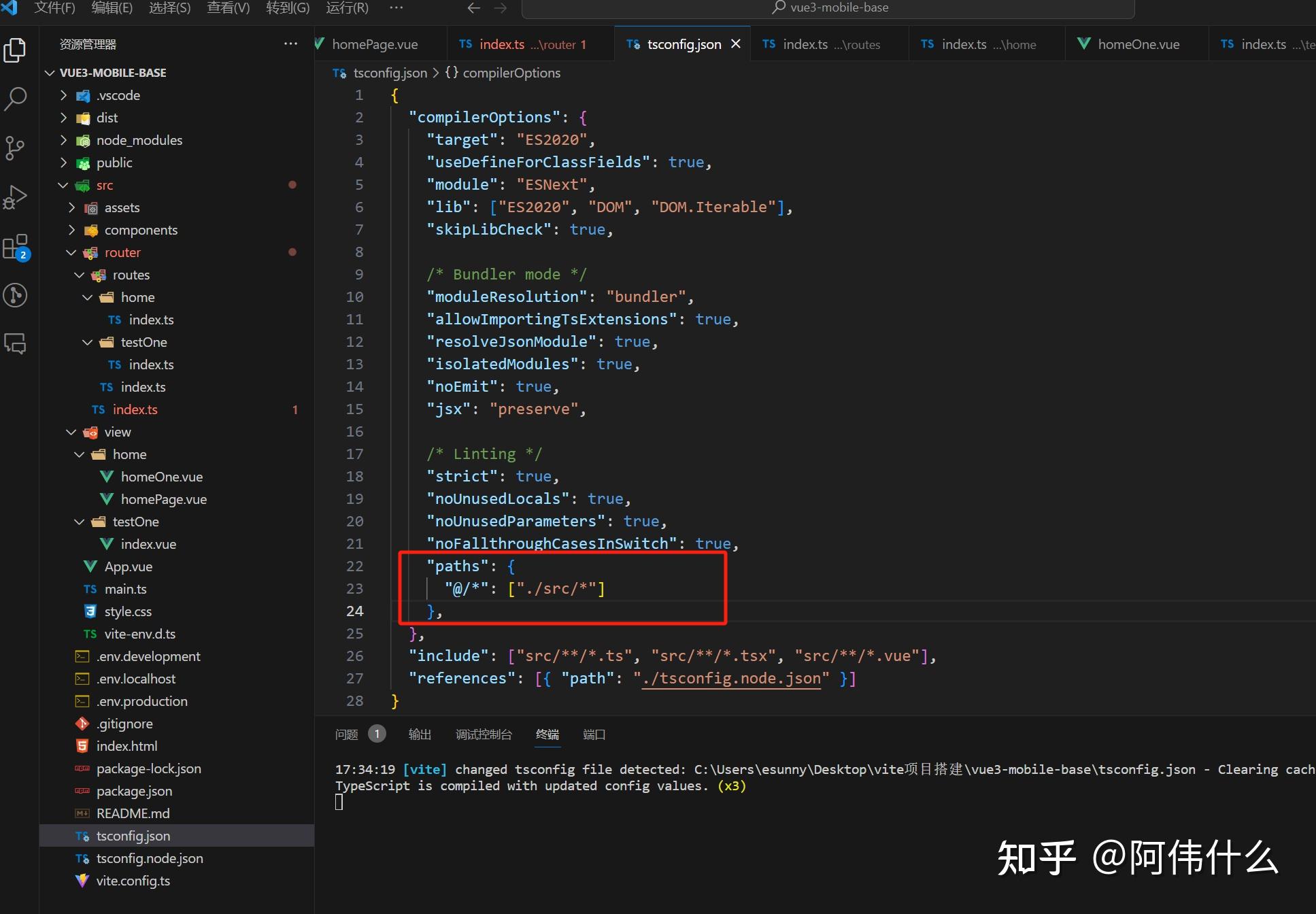 vue3+vite+ts项目搭建二（开发前的配置和准备） - 知乎