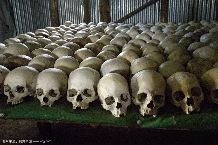 黑种人，白种人，黄种人这三种肤色的人，是一个物种吗？ - 知乎