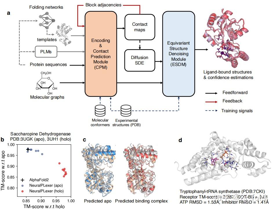 NeuralPLexer——蛋白质-配体复合物结构预测的多尺度深度生成模型 - 知乎
