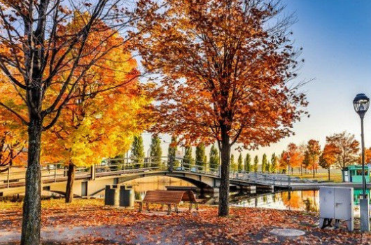 这大概秋季全球最美线路吧-加拿大枫叶大道 - 知乎