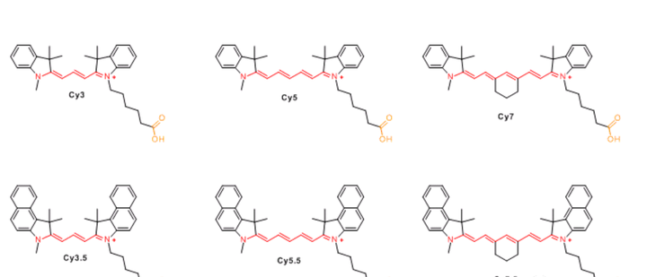 菁染料Cy7|Cy5|Cy5.5|Cy3荧光标记介绍 - 知乎