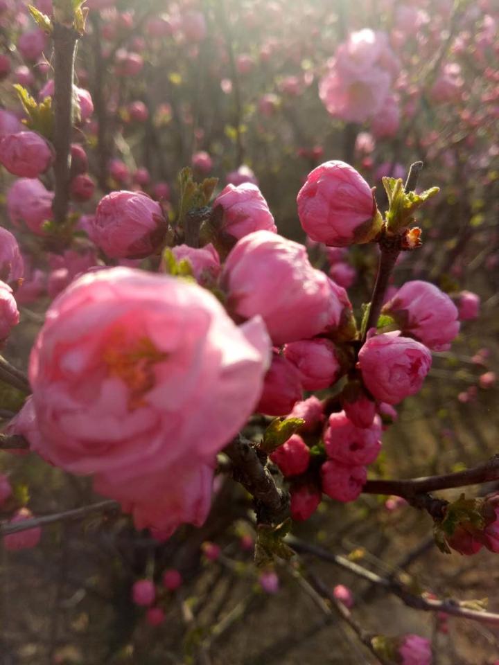 Java 基础入门系列篇01（ write once ,run anywhere!(一处编译,到处运行)） - 知乎