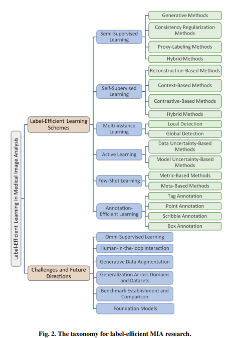 [综述翻译]Label-Efficient Deep Learning in Medical Image Analysis: Challenges and Future Directions - 知乎