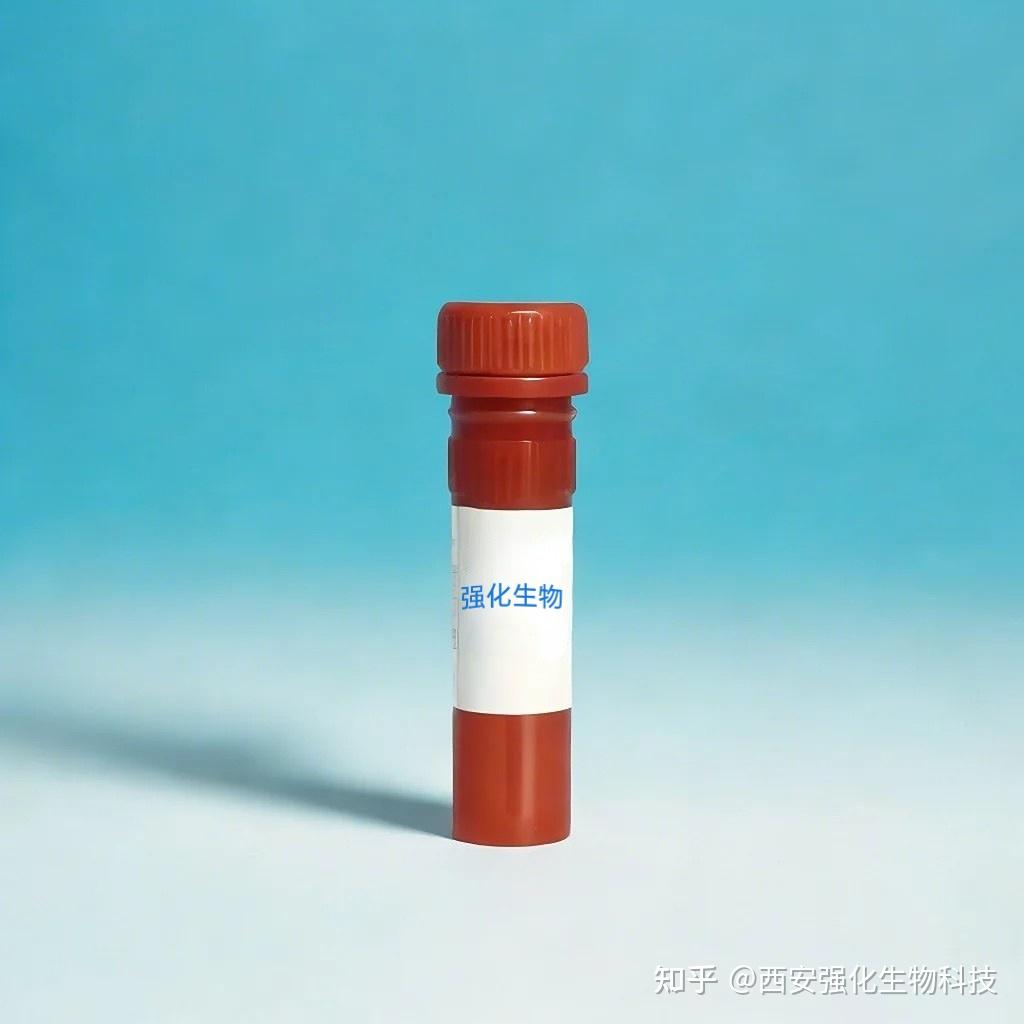 CellROX Green Reagent，for oxidative stress detection的介绍 - 知乎