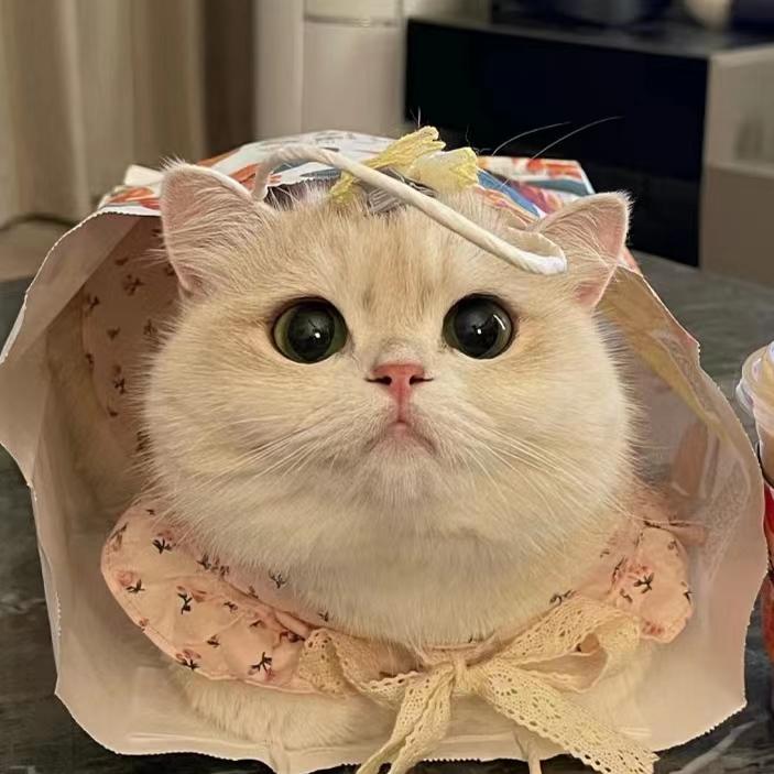 Codeforces Round 884 (Div. 1 + Div. 2) A~D题解 - 知乎