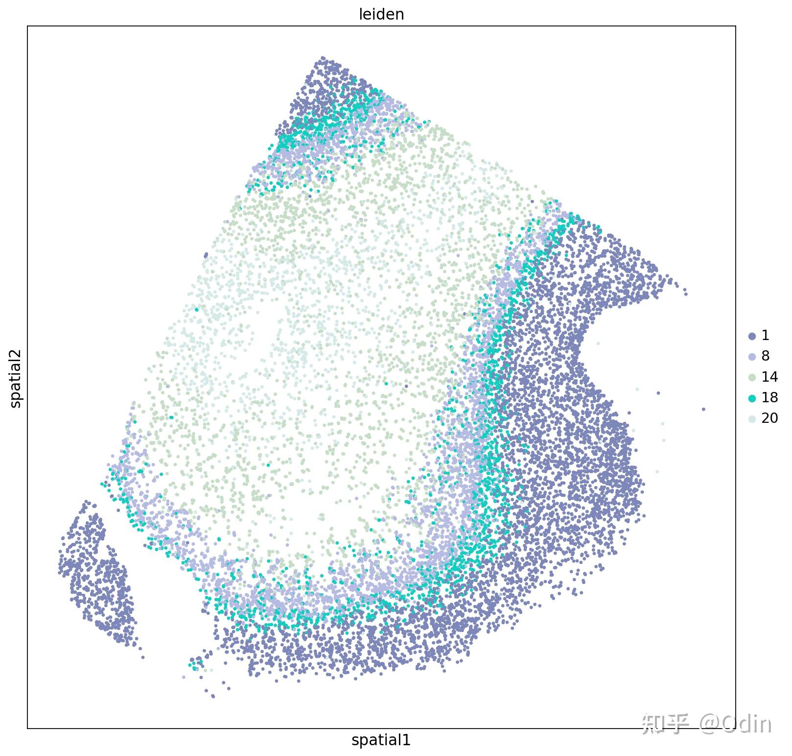 教程：用scanpy和squidpy分析单细胞空间转录组数据 - 知乎
