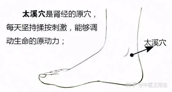补肾最强穴位排行榜 - 知乎