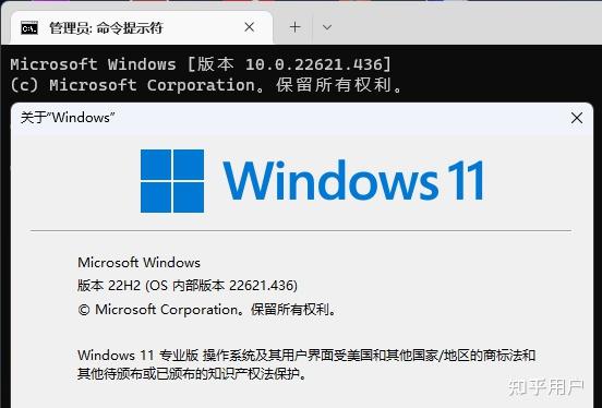 在msdn上面下载win11，这几个版本应该选哪个呀? - 知乎
