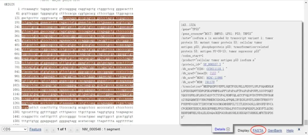 NCBI保姆级使用教程（包含如何查找CDS、启动子、5'UTR和3'UTR、lncRNA序列） - 知乎