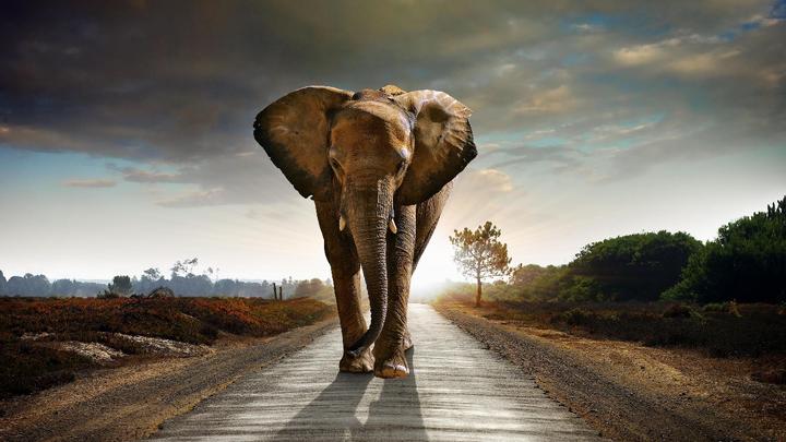 使用 Postgresql 建立你的数据库 Linux 中国 知乎