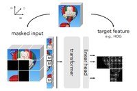 MaskFeat (Masked Feature Prediction for Self-Supervised Visual Pre-Training) - 知乎
