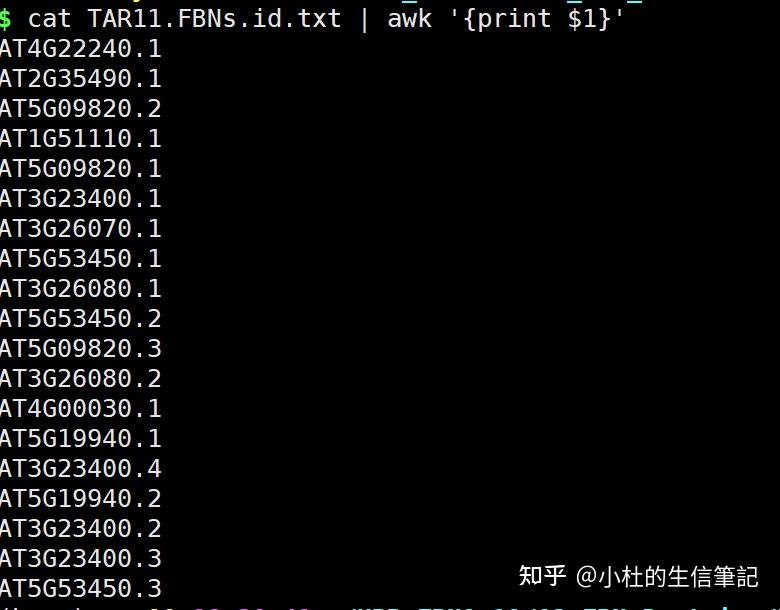基于TBtools做基因家族分析教程 （全）