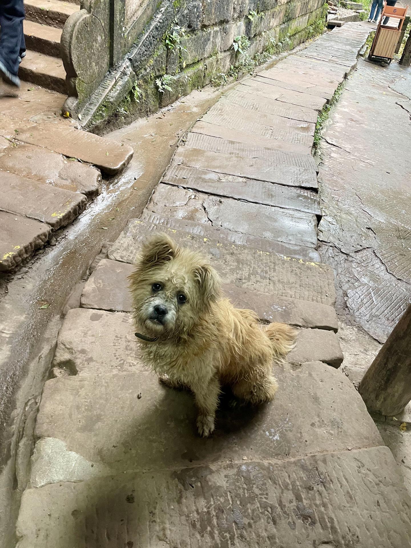 MBTI cp 系列：理性组（INTP-INTJ）——“就这般望着你” - 知乎