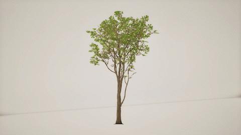 关于Speedtree导出的Billboard的一些探索...... - 知乎