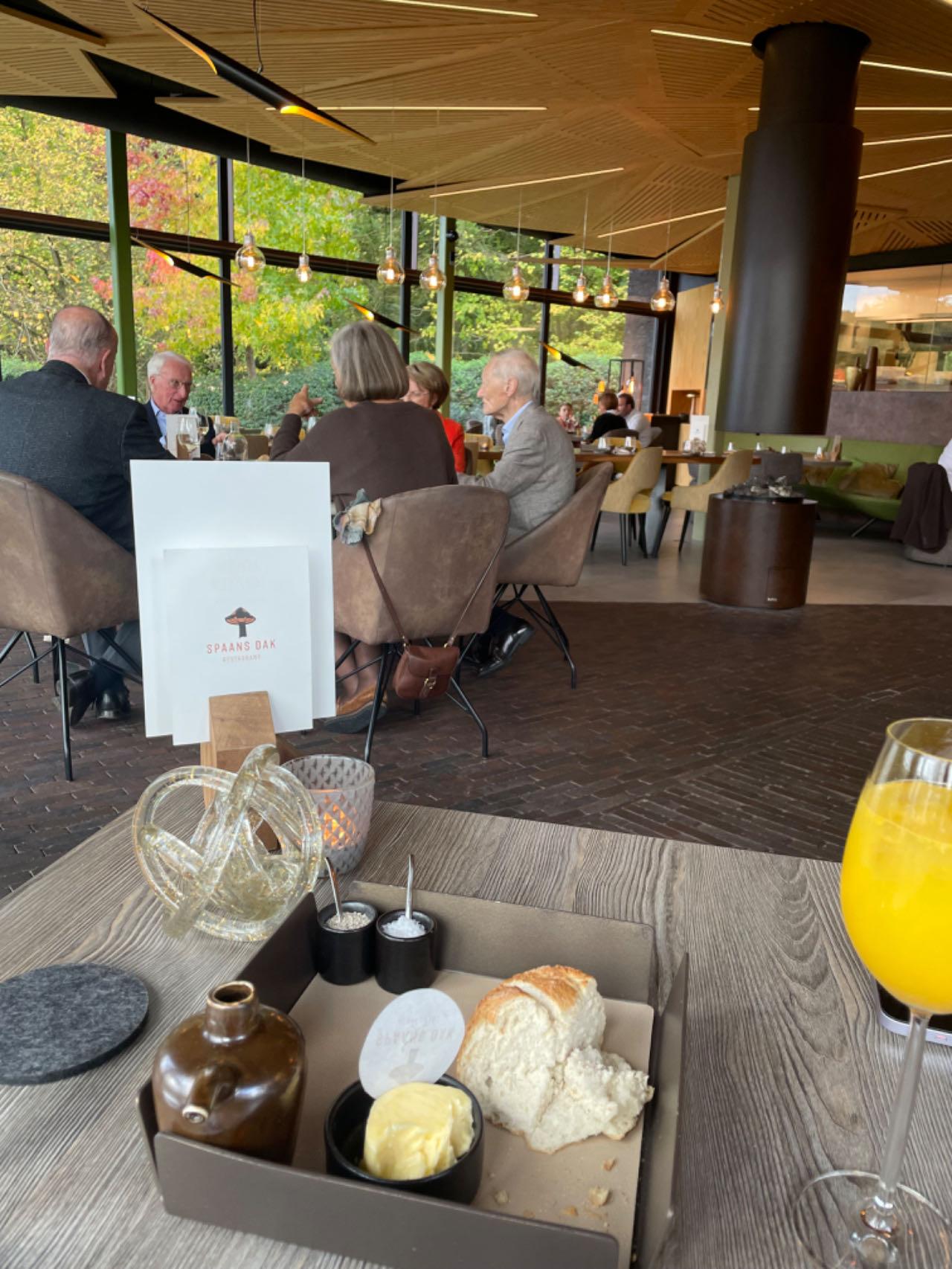 缅怀Willy Sansen教授 - 知乎