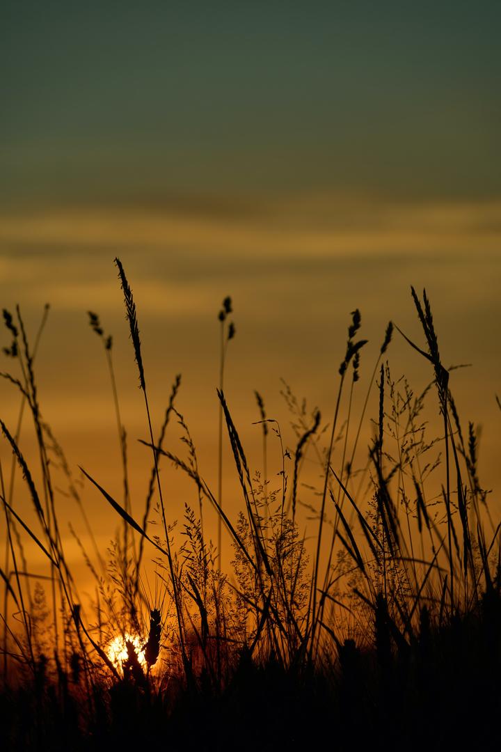 vue runtime源码分析学习——day3：确定后续分析流程 - 知乎