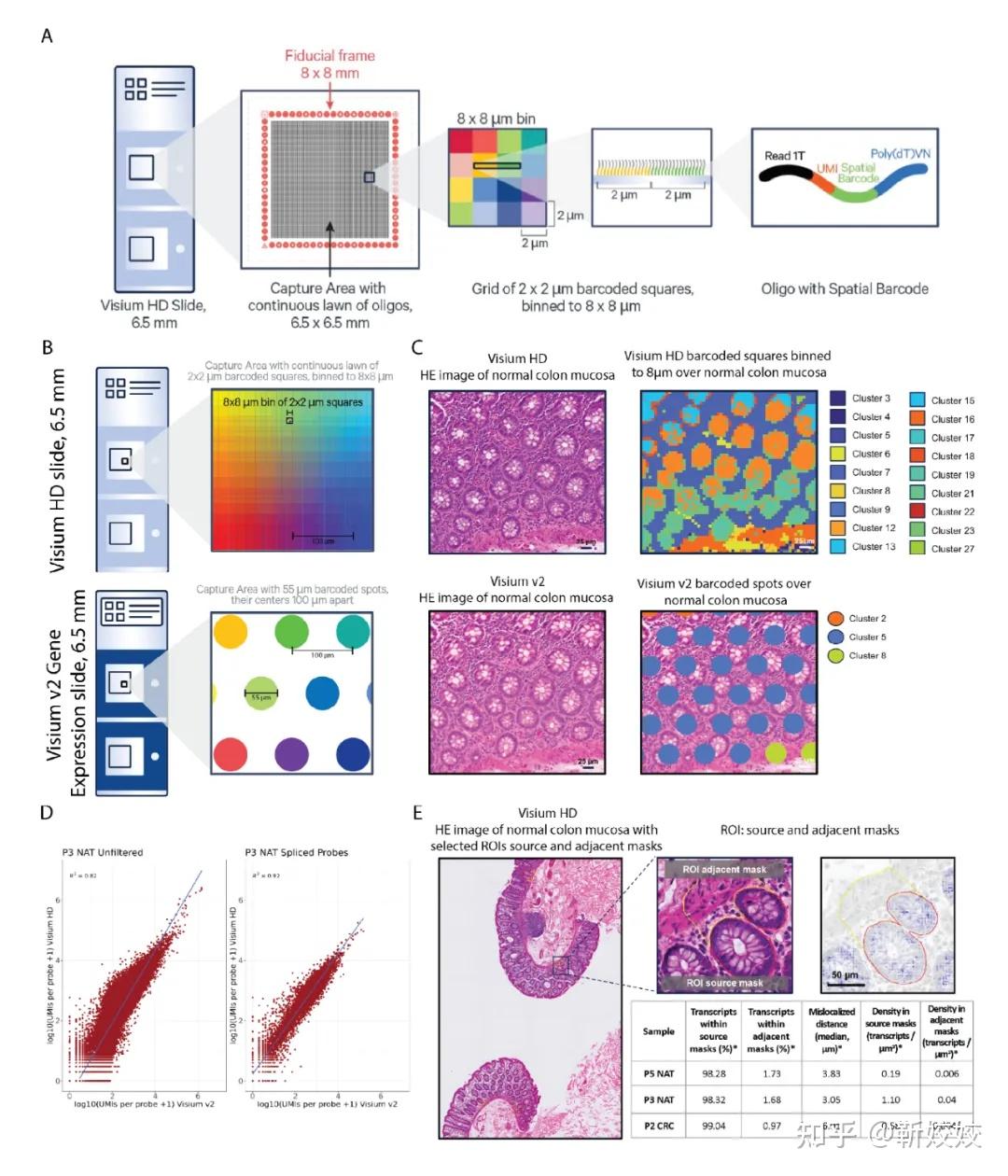 全球首篇Visium HD 文章上线！10x单细胞/空间/原位技术从不同维度相互佐证，助力更多发现！ - 知乎