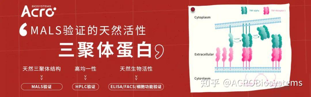 CD40 Ligand：免疫治疗的新星，中国首款药物IBI355获批临床试验 - 知乎