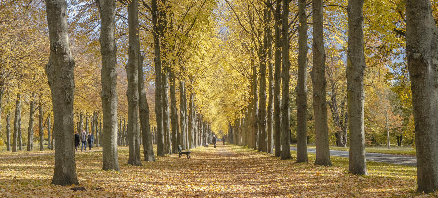 Matlab CPU和GPU计算速度对比 - 知乎