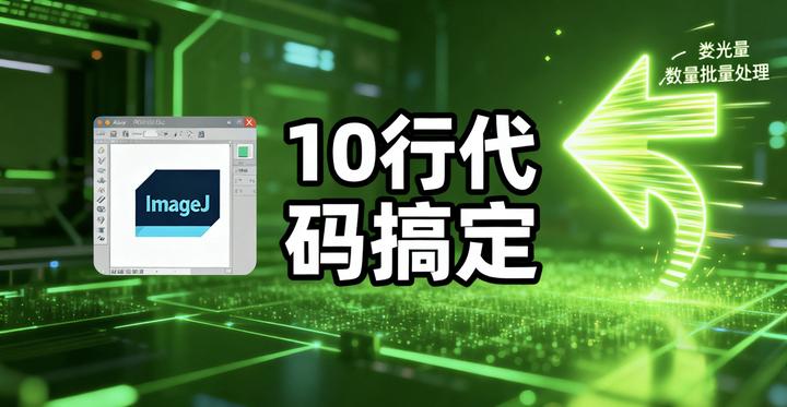 ImageJ 批量分析图片全攻略｜ROS & 免疫荧光双代码模板+避坑指南 - 知乎