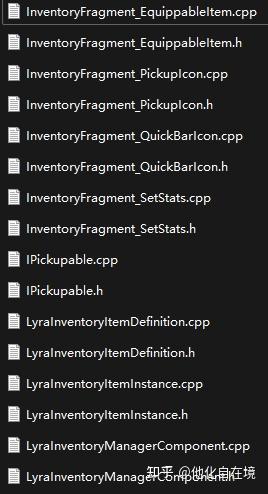 Lyra 一、 Inventory 1.源码部分 - 知乎