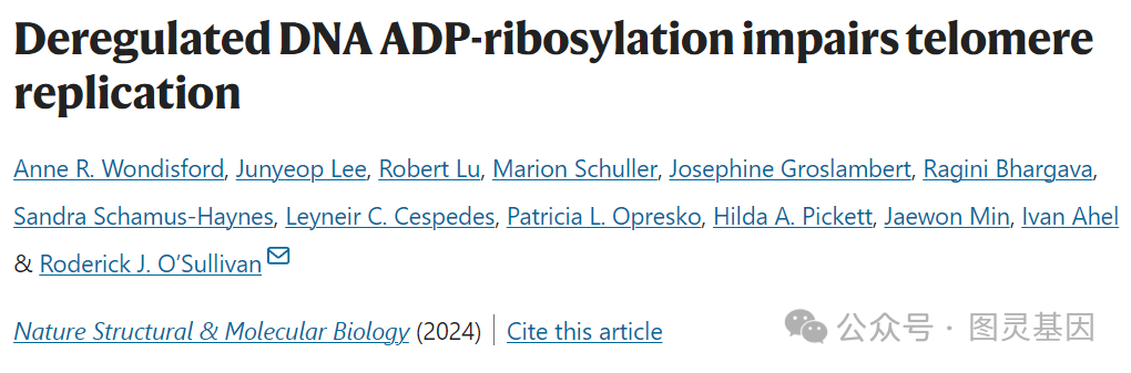 NSMB | PARP1的酶参与端粒修复：潜在癌症新靶点 - 知乎