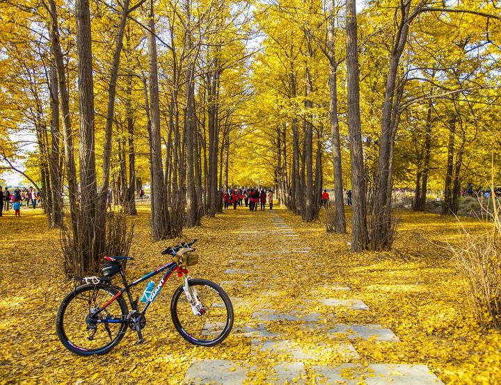 vant4 底部弹出 多选 - 知乎