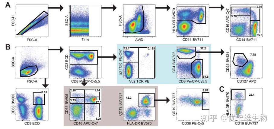 【罗工流式秘籍54】没想到吧！Flowjo还有这样的功能~ - 知乎