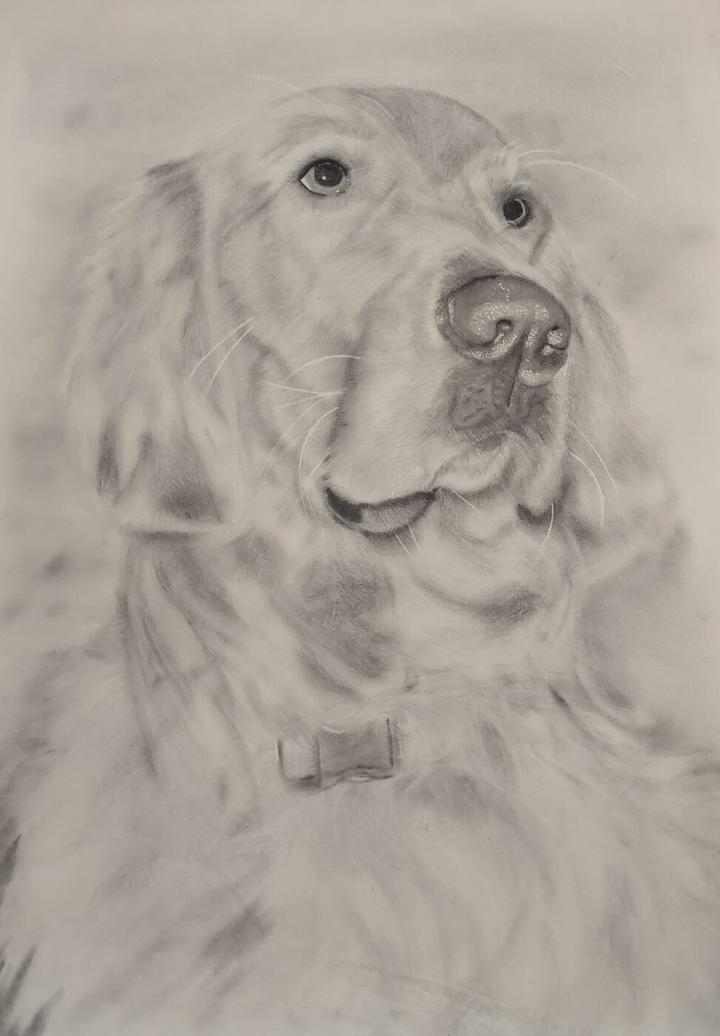 YYT 1579-2018 体外诊断医疗器械体外诊断试剂稳定性评价-英文版 - 知乎