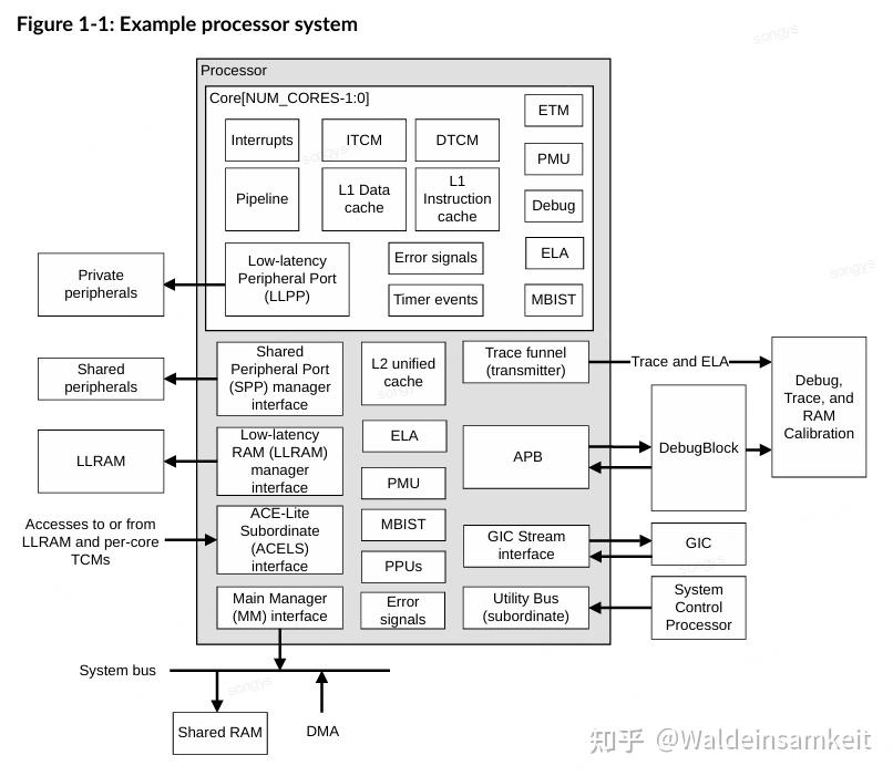 ARM Cortex-R82AE 学习 第一章 - 知乎