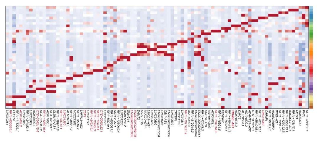 单细胞lncRNA如何分析？VITA助你一臂之力！ - 知乎