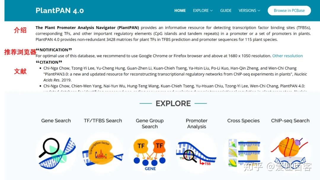 PlantPAN 4.0:探索植物转录因子和启动子的调控数据库 - 知乎