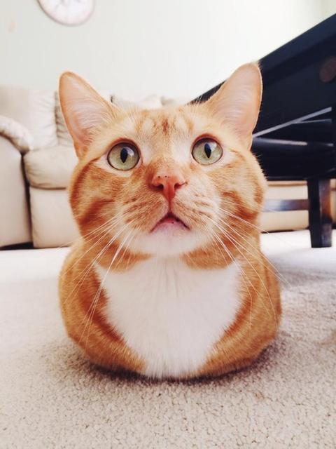 C++中std::string::find_last_of用法 - 知乎