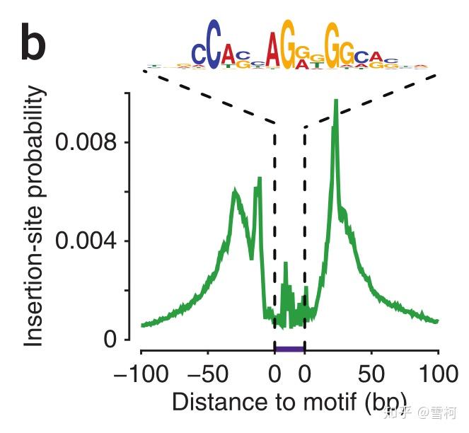 什么是「ATAC-seq 技术」？现在用于哪些生物学研究？ - 知乎