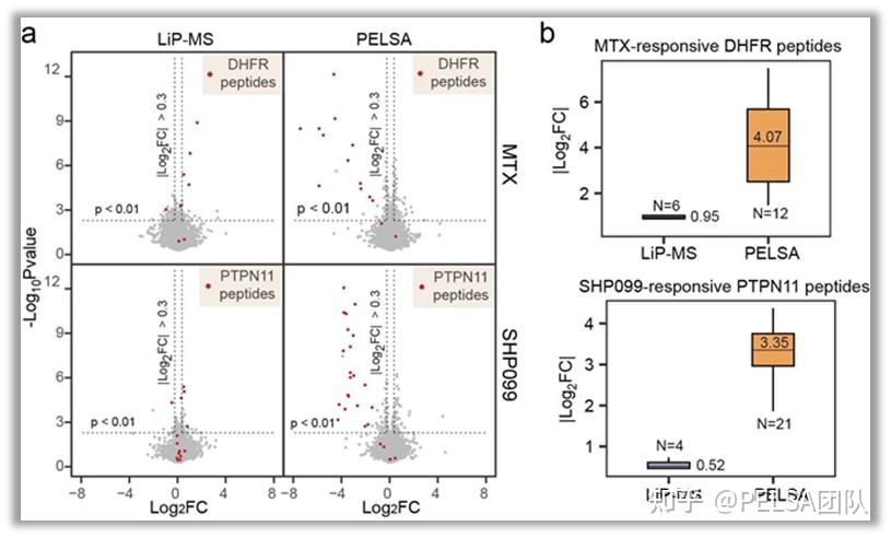 Nat Methods∣PELSA：基于结构微区稳定性变化，助力配体靶标蛋白的发现 - 知乎