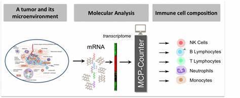 生信笔谈 | 零基础学免疫浸润分析MCPCounter算法（附完整代码） - 知乎