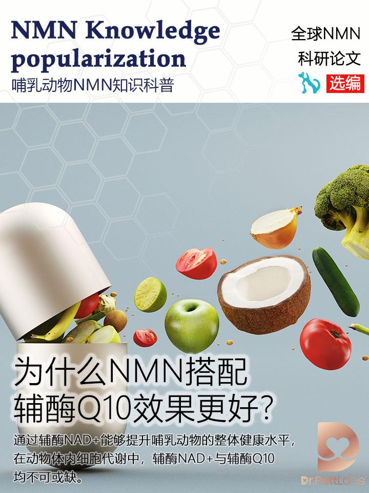 为什么NMN搭配辅酶Q10效果更好？ - 知乎