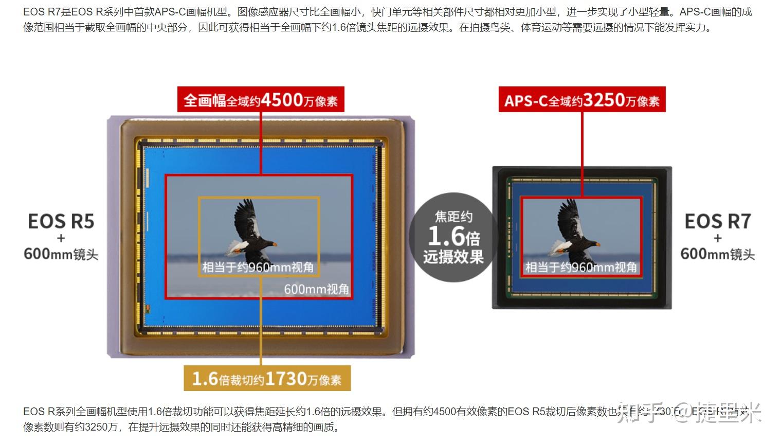 在索尼等厂商已经完全把微单带入APS-C画幅的年代，奥林巴斯为什么还坚持在出M43系统的微单？