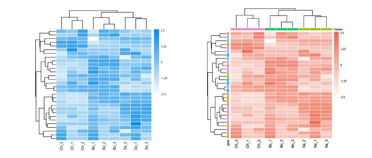 R语言绘图教程 | 如何绘制“漂亮”的热图？ - 知乎