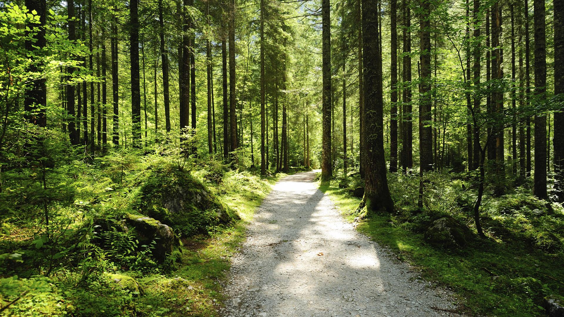 动词 to do /doing/sb to do sth 的区别 - 知乎