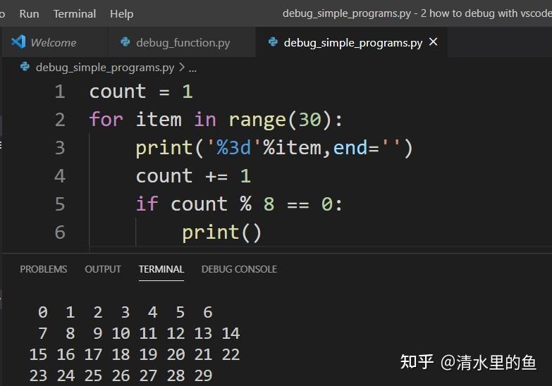 【新手向】Python x VS Code 简单debug与调试 - 知乎
