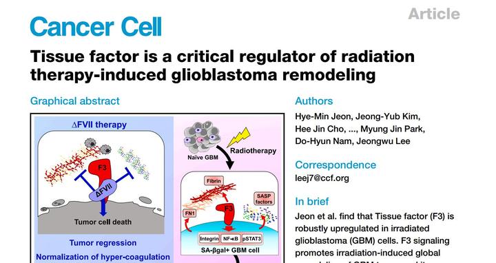 Cancer Cell | 刷新认知：衰老居然是肿瘤细胞的“免死金牌”！ - 知乎