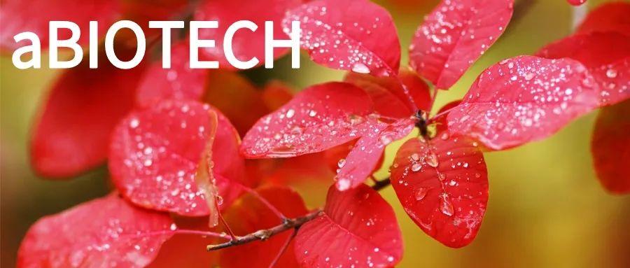 aBIOTECH | 中山大学徐锦课题组综述 scATAC-seq 数据分析方法 - 知乎