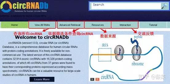 circRNA研究神器推荐 - 知乎