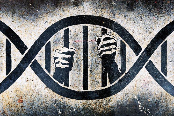 屡屡出现在电视、电影当中，DNA 技术是如何「破案」的？ - 知乎