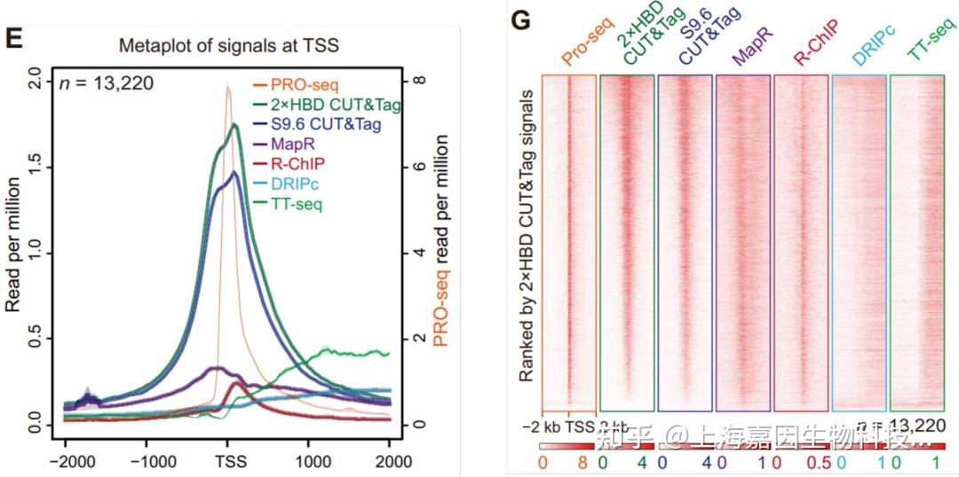 R-loop CUT&Tag 系列文章之四-R-loop CUT&Tag技术原理和技术对比 - 知乎