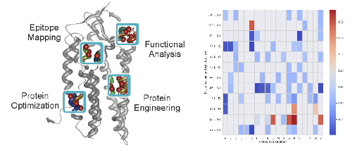 Rosetta程序的基本步骤教学 - 知乎