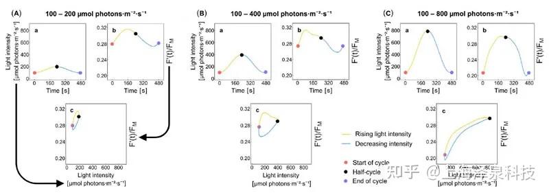 创新性的波动光设计揭秘拟南芥的两种光合响应机制 - 知乎