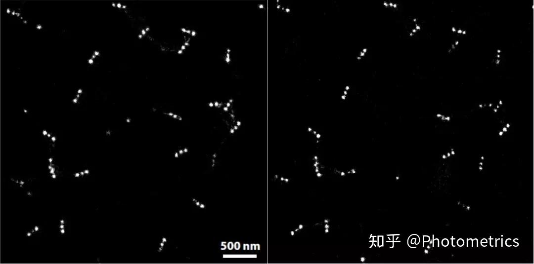 背照式sCMOS的胜利 —— Prime 95B 在单分子定位超分辨显微成像中的应用 - 知乎